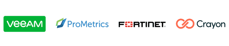 Voice Solutions for Internet Software